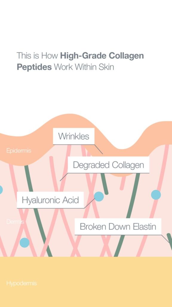 What is Verisol Collagen? - Independent Herbalife Member